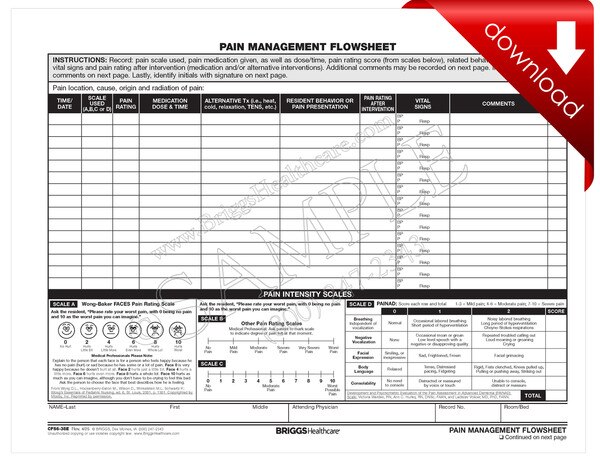 Pain Management Flowsheet- DIGITAL FORM